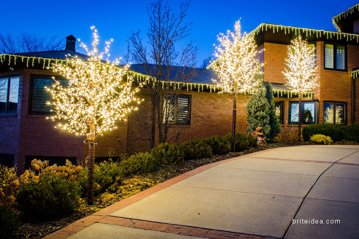 Lighted Displays – Projects by Design
